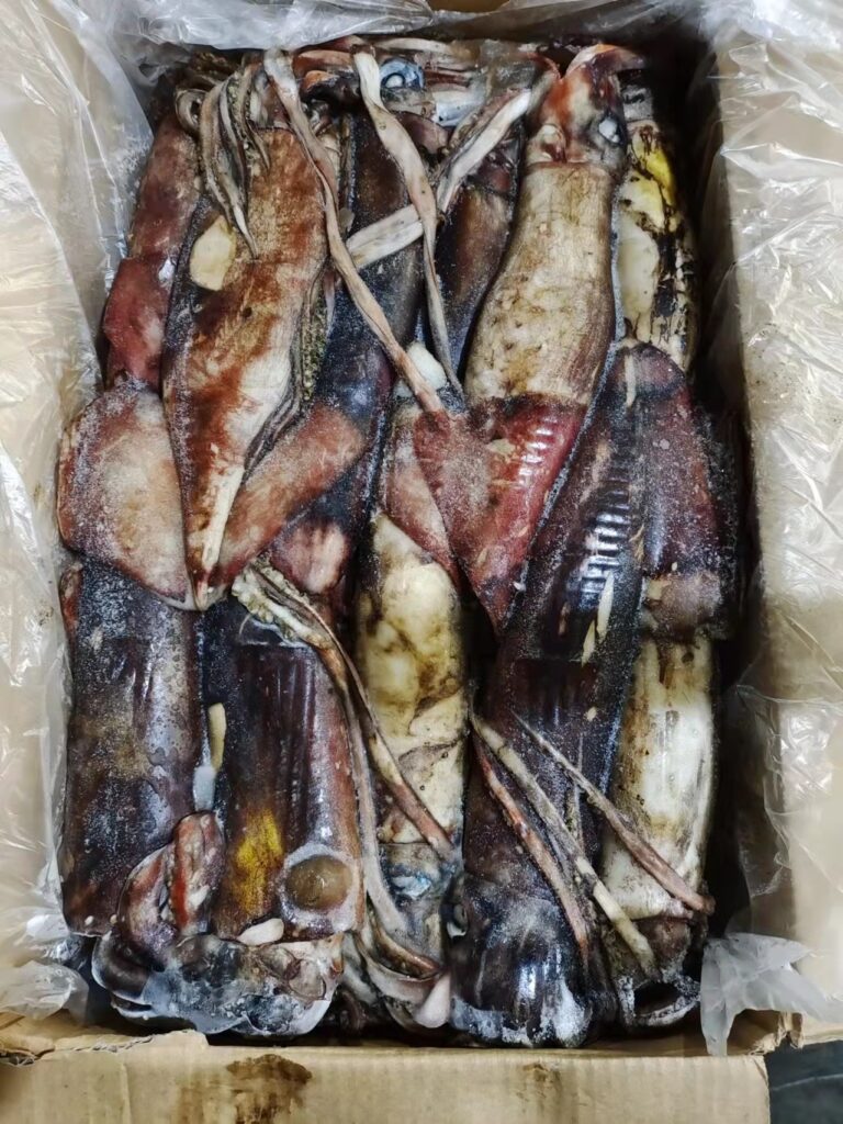 BLACK SQUID – Amber Foods