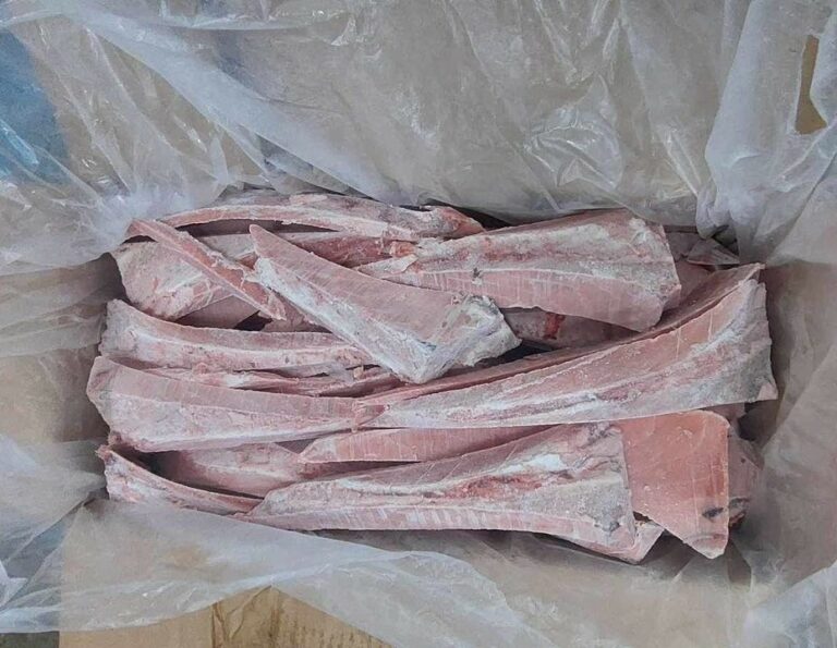 NON-CO TUNA CHIN MEAT – Amber Foods