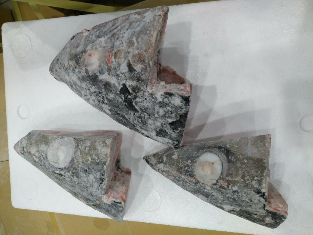 NON-CO TUNA HEAD – Amber Foods