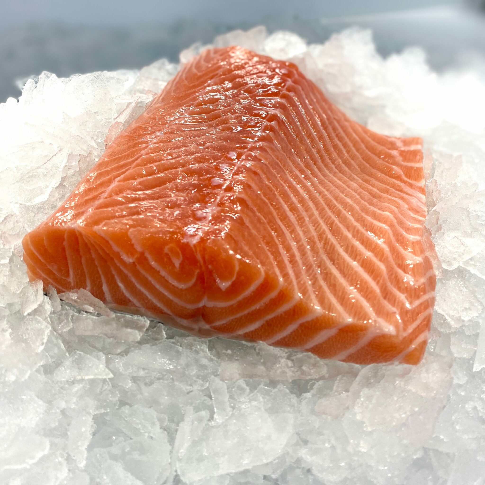 SALMON SLAB – Amber Foods