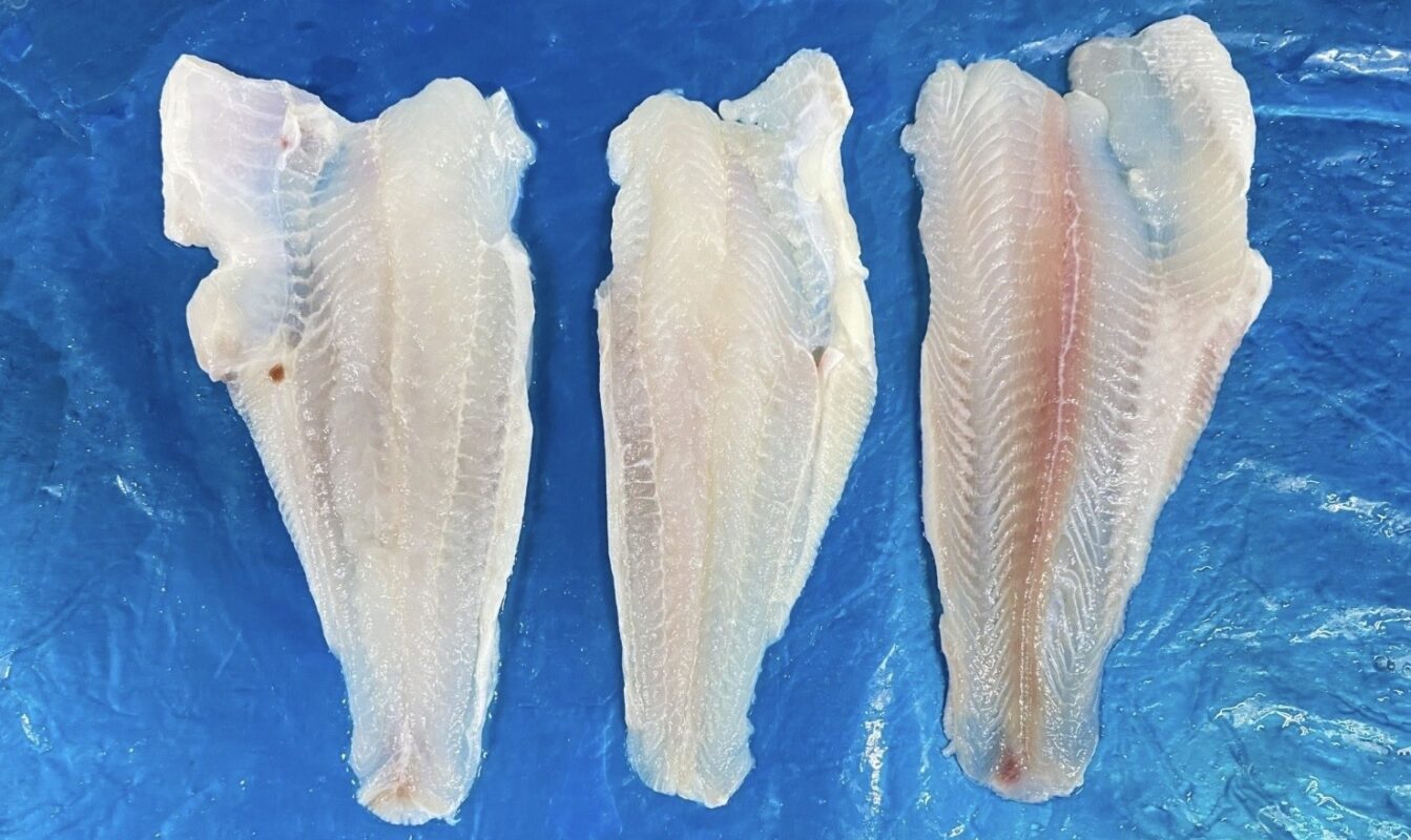 UNTRIMMED CREAM DORY – Amber Foods